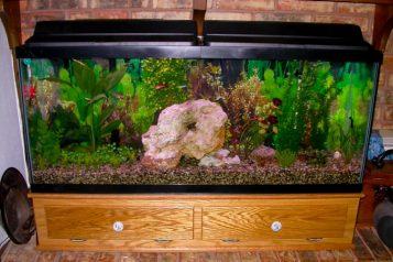 Best Fish Tank Stand: Learn These Tips To Get Yourself - Happy Pet Pets